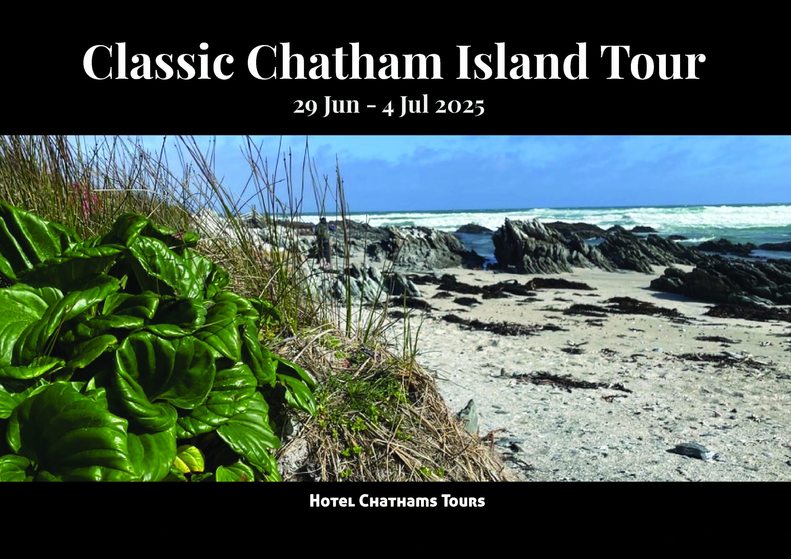 Classic Chatham Island Tour - Travel With Lesley Whyte