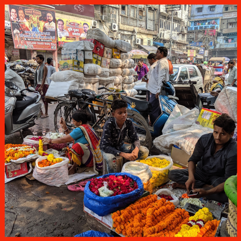 India Through Pictures - Travel With Lesley Whyte